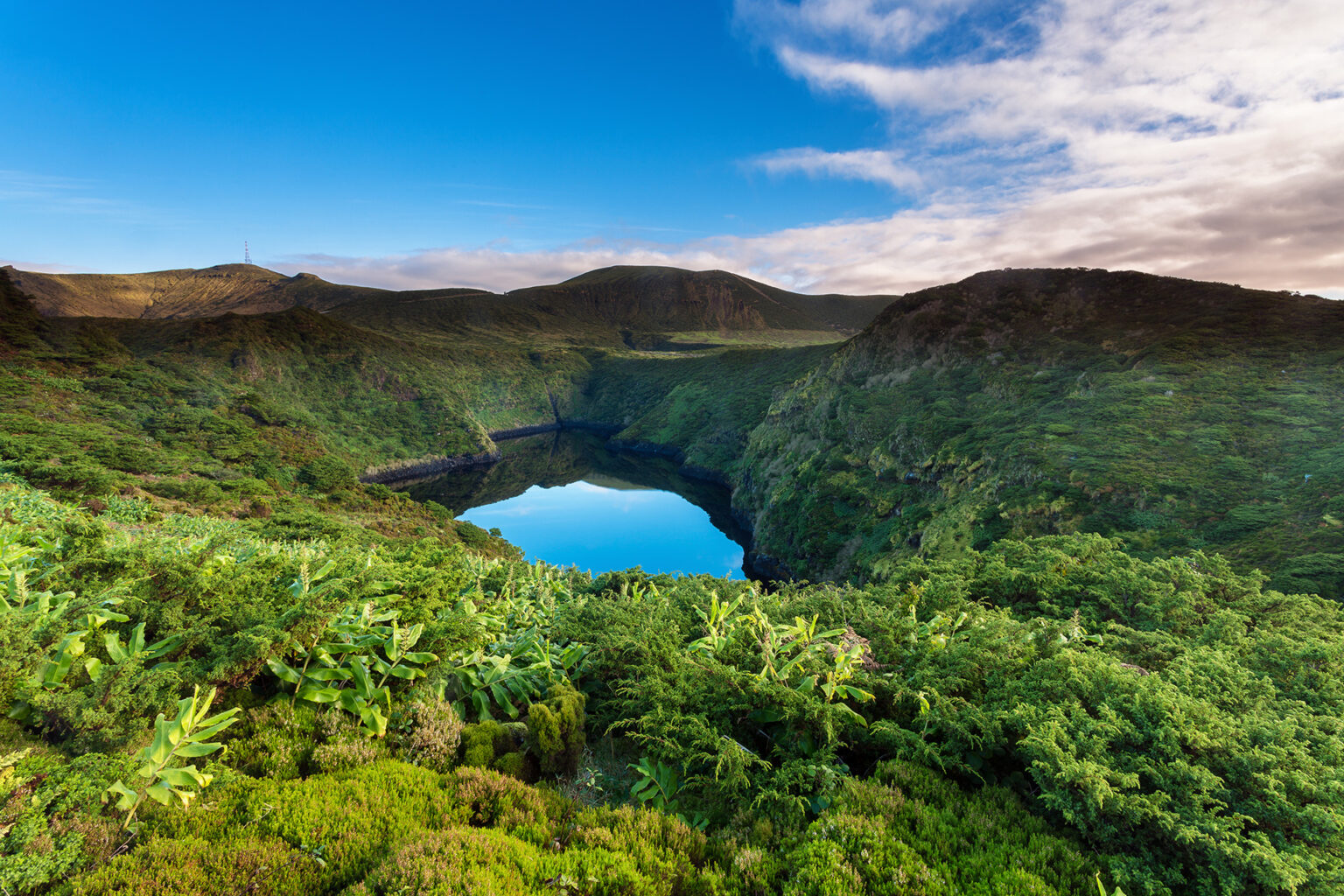 About Flores – Explore Flores